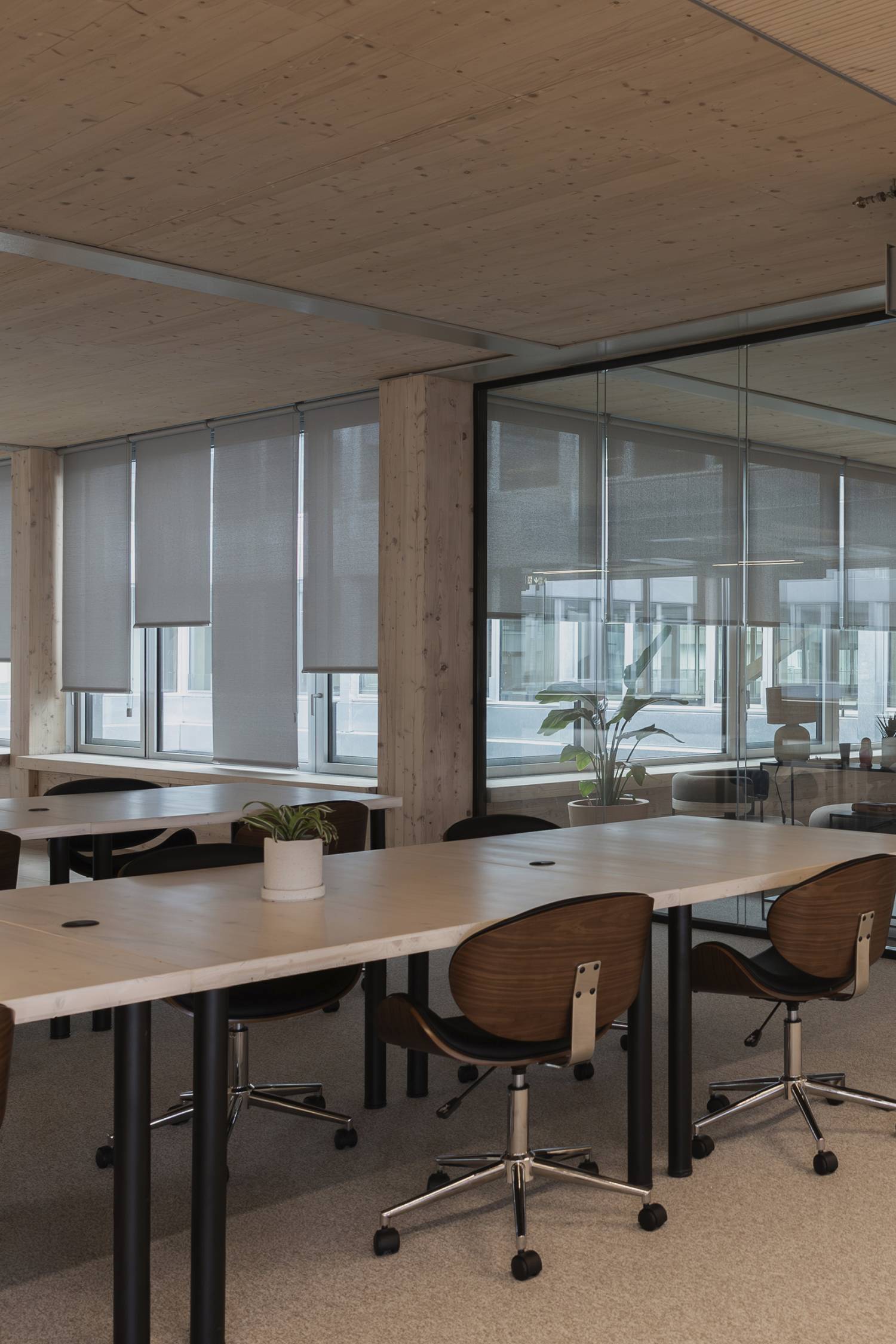 Professional Contract - Bandalux EN